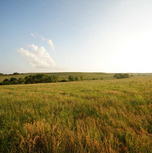 Solar Services in New York | Renovus Solar